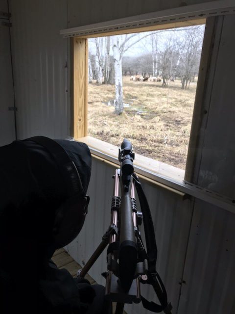 Trophy Ranch - Trophy Ranch