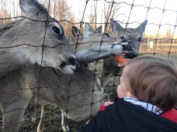 Trophy Ranch - Trophy Ranch