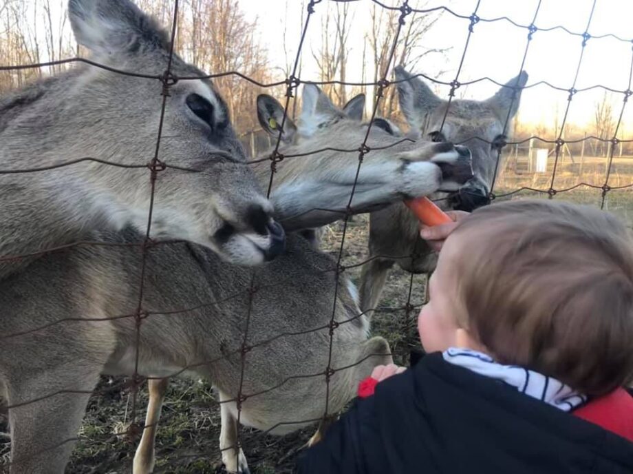 Trophy Ranch - Trophy Ranch