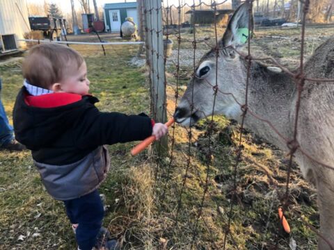 Trophy Ranch - Trophy Ranch