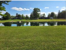 Trophy Ranch - Trophy Ranch